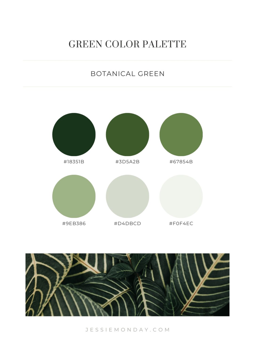Green color palette inspiration - Jessie Monday