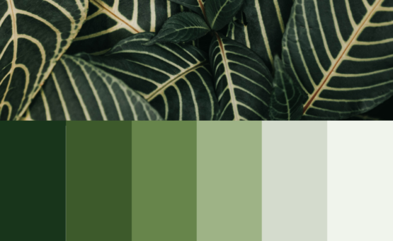 Green color palette inspiration - Jessie Monday