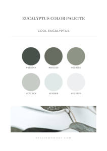 Eucalyptus Color Palette Inspiration - Jessie Monday