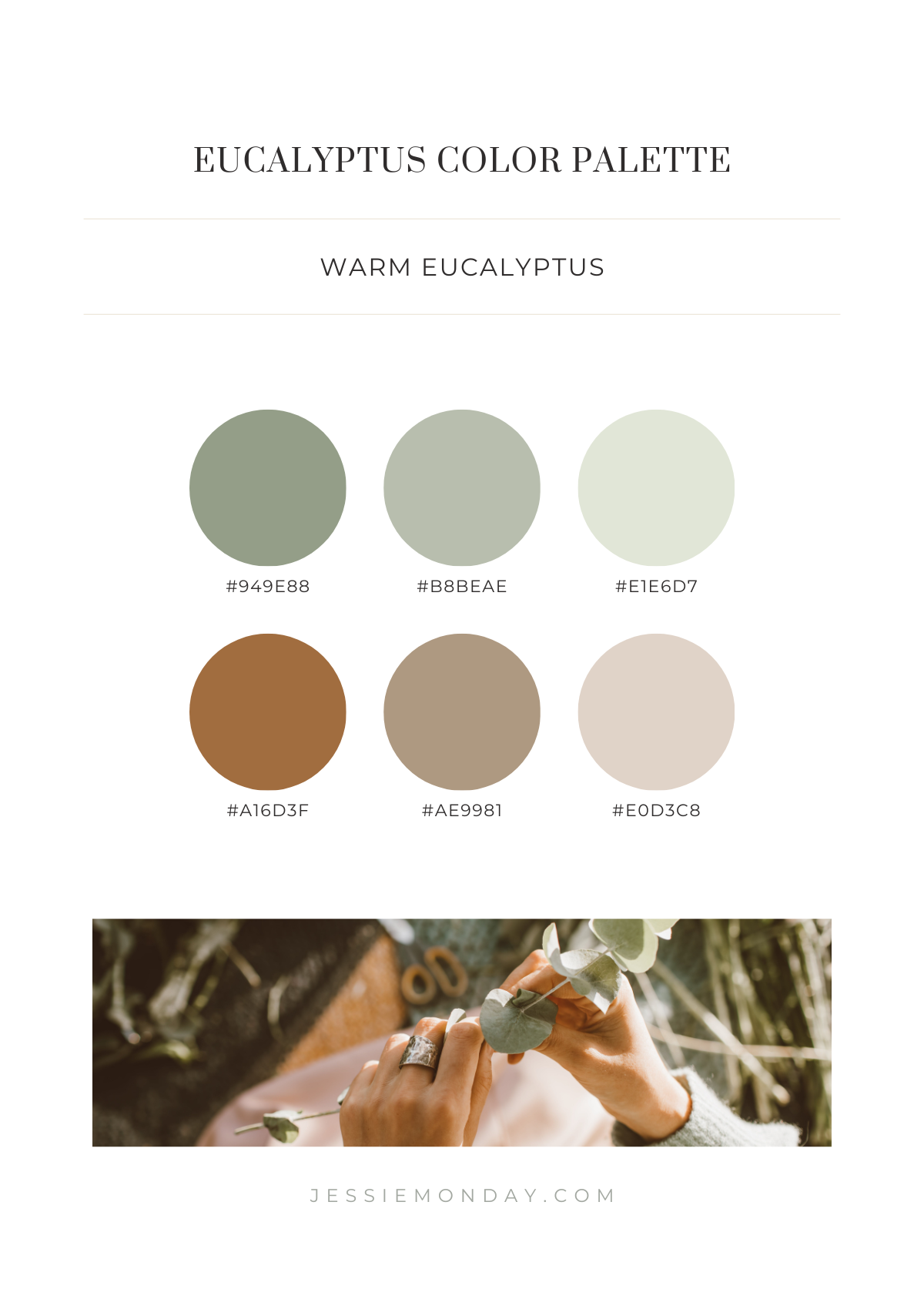 Eucalyptus Color Palette Inspiration - Jessie Monday