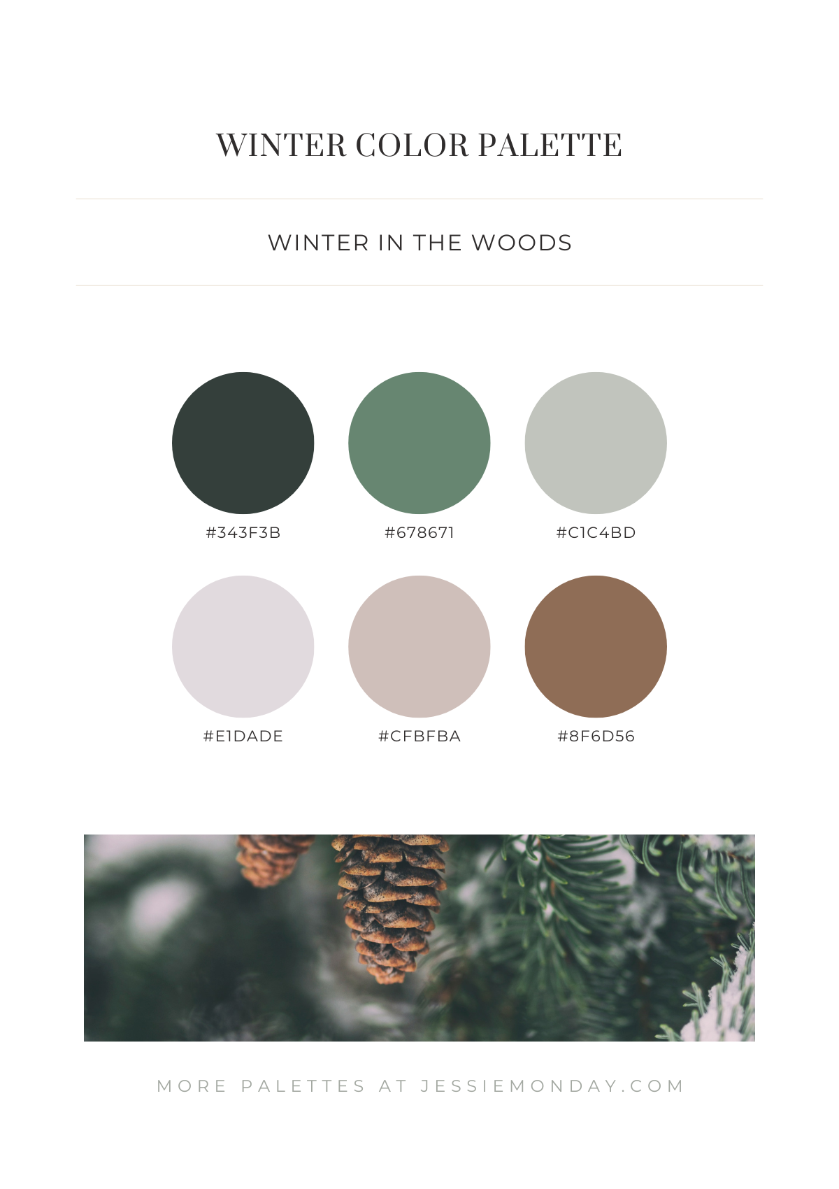 Winter color palette inspiration - Jessie Monday