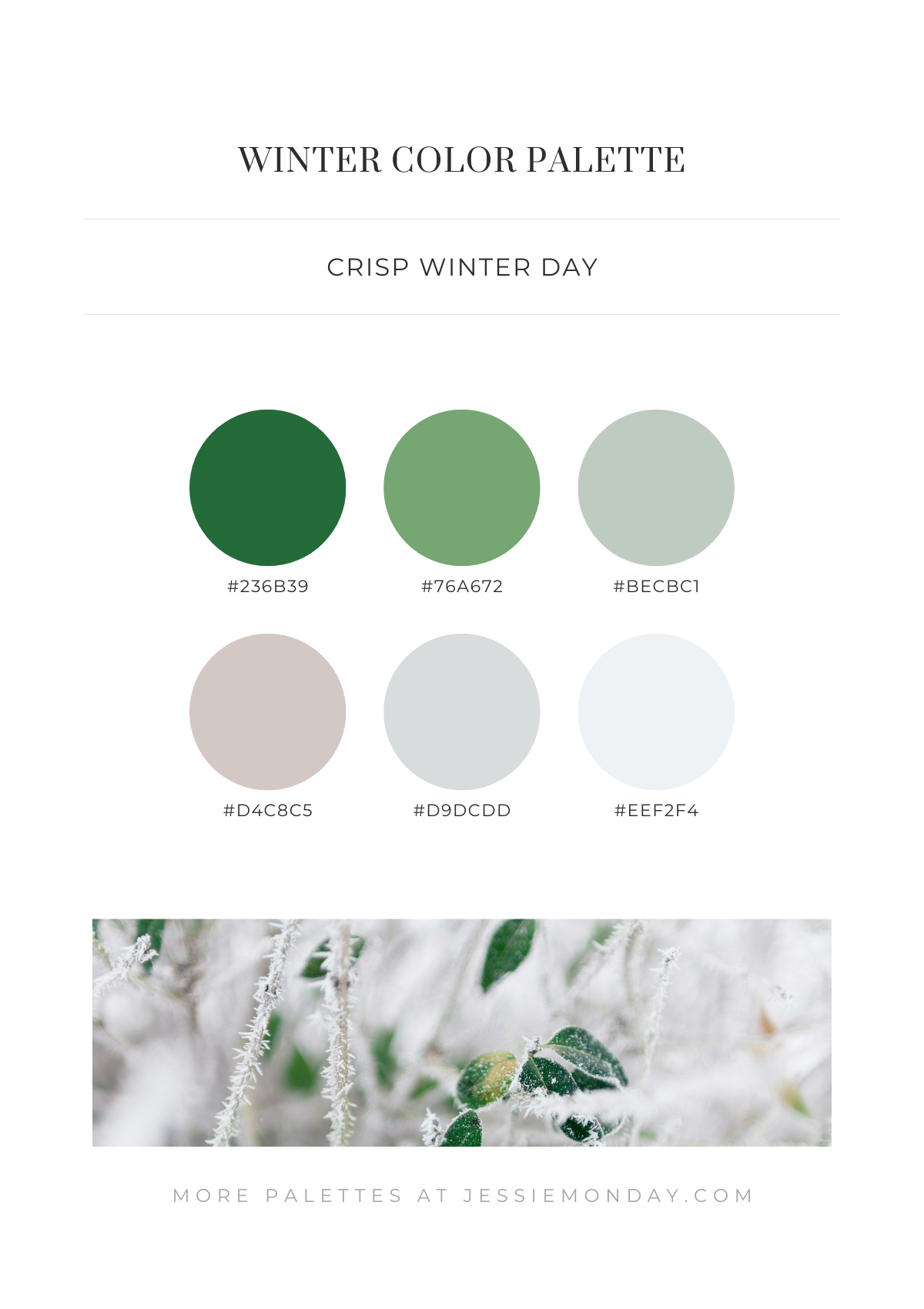 Winter color palette inspiration - Jessie Monday