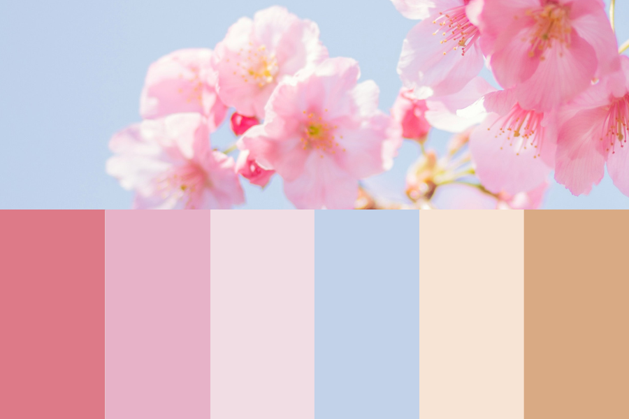 Spring color palette inspiration (with hex codes) - Jessie Monday